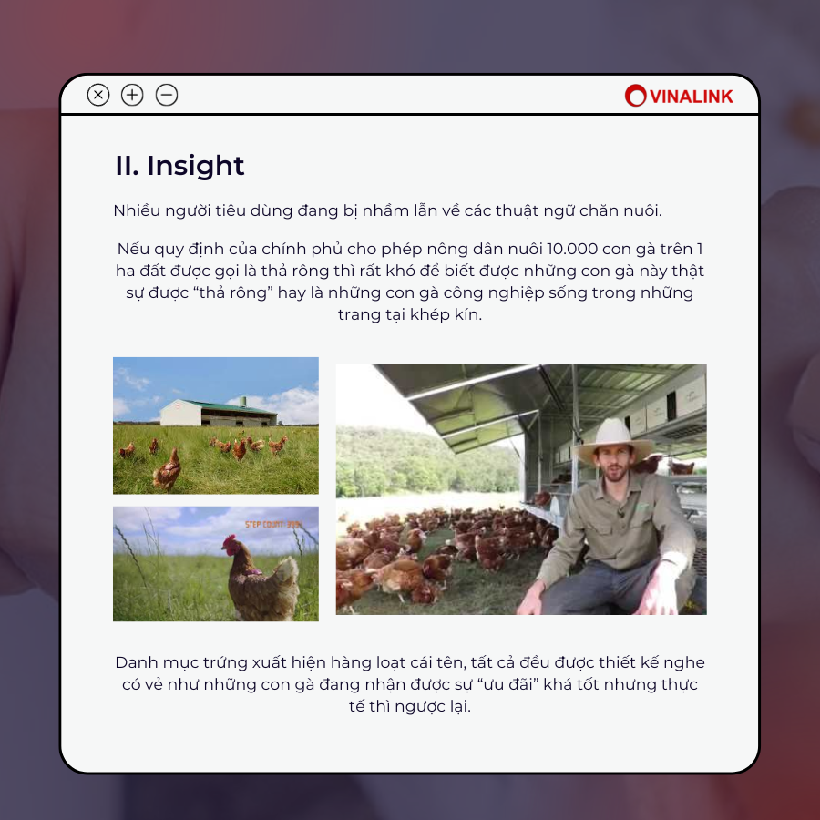 FitChix - Honest Eggs Co.